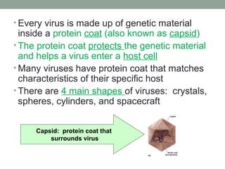 Viruses notes | PPT