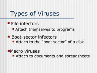 Viruses novice | PPT