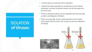 Viruses Part 2 (MICROBIOLOGY) | PPTX