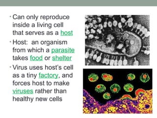 Viruses ppt | PPT
