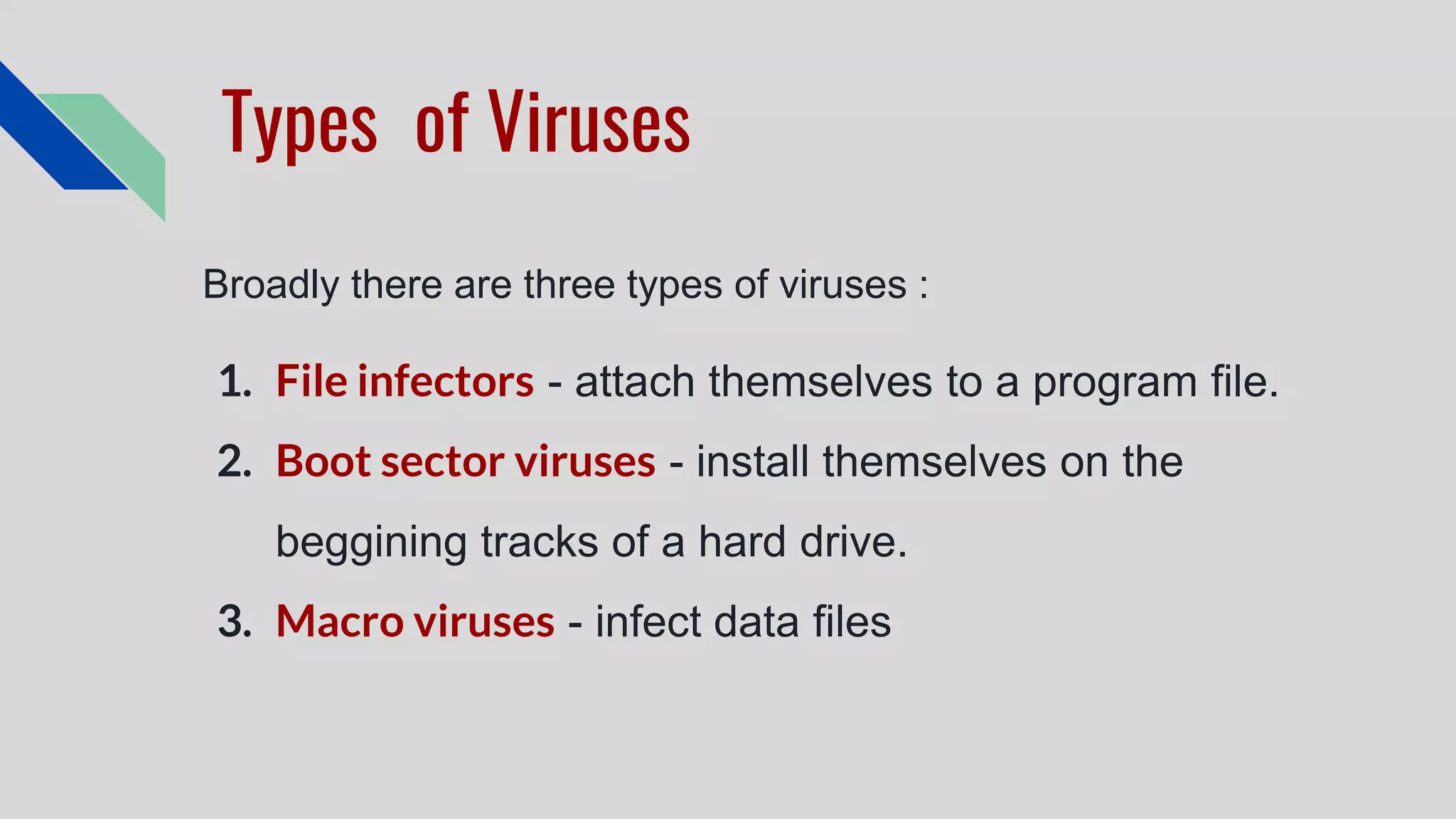 Computer Viruses | PPT