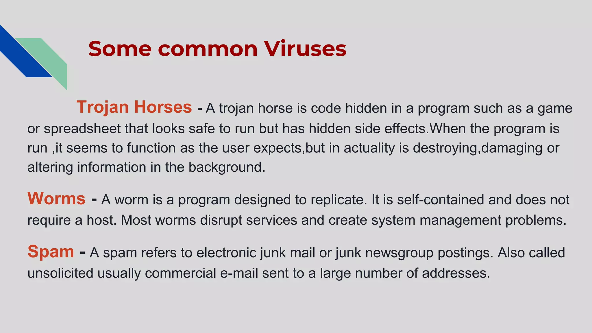 Computer Viruses Ppt
