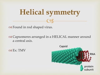 Properties of viruses | PPTX