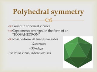 Properties of viruses | PPTX