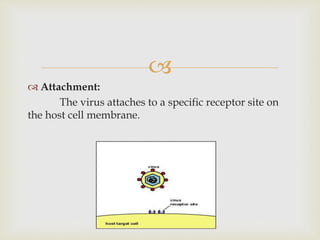 Properties of viruses | PPTX