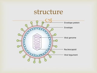 Properties of viruses | PPTX