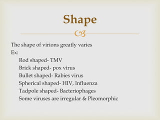 Properties of viruses | PPTX