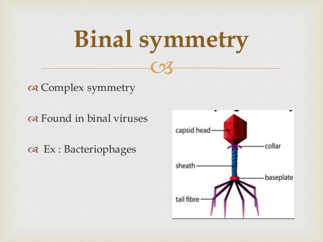 Properties of viruses