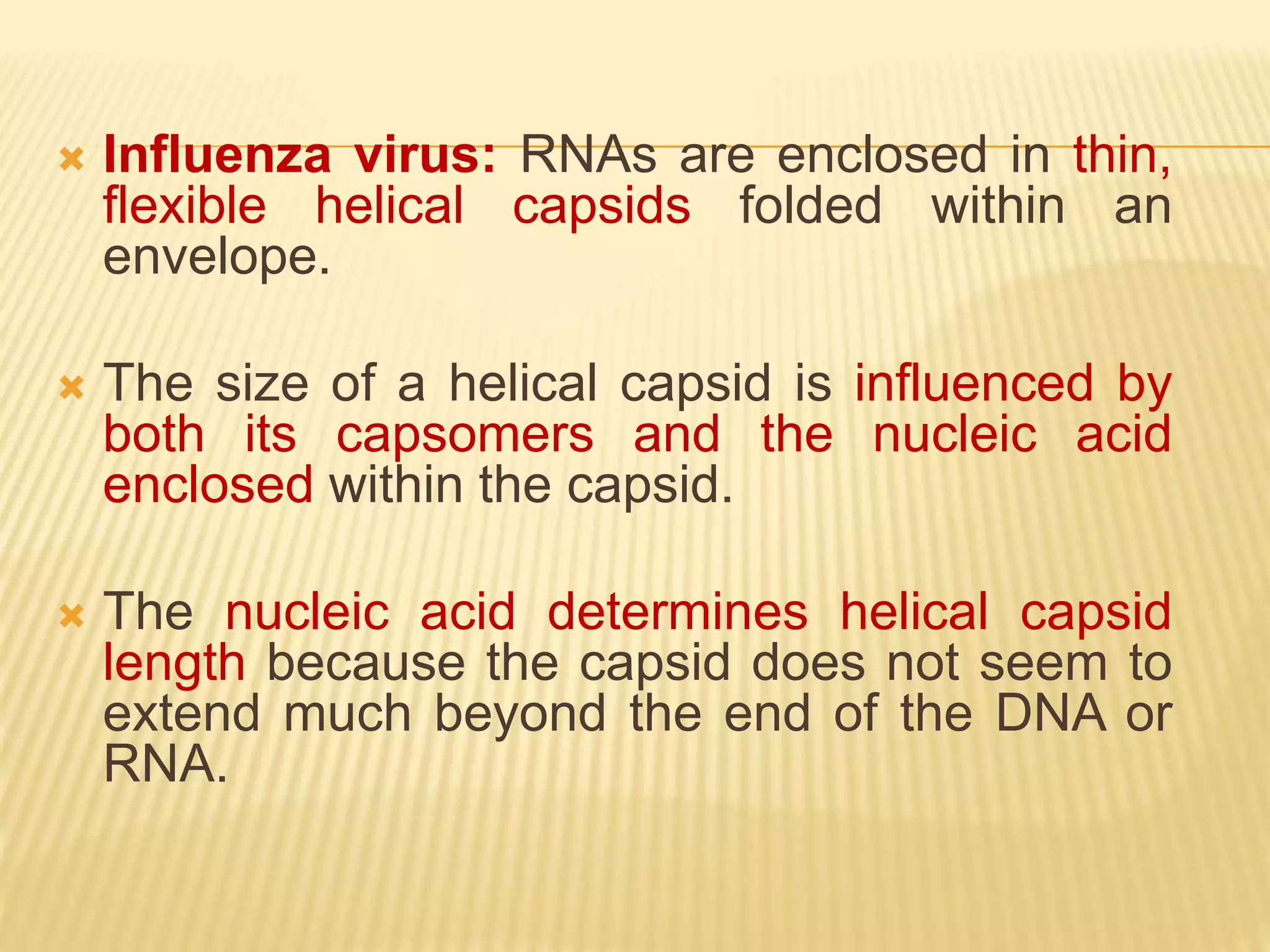 Viruses structure and classification | PPTX