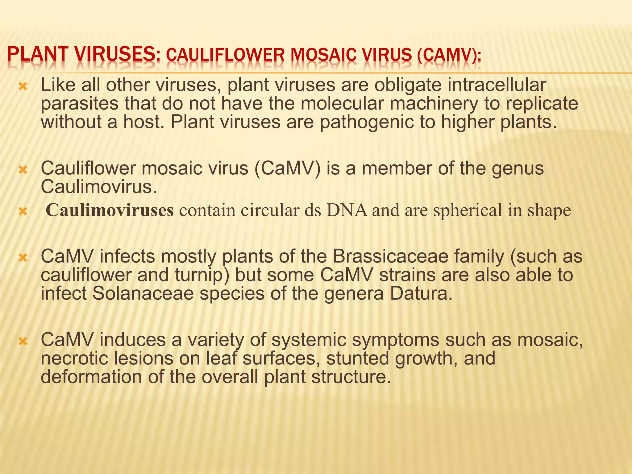 Viruses structure and classification | PPTX