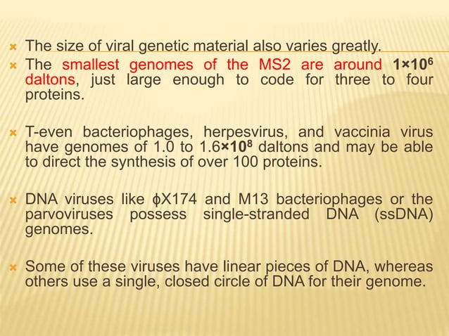 Viruses structure and classification | PPTX | Biological Sciences | Science