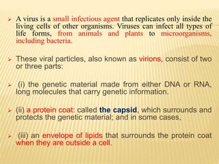 Viruses structure and classification | PPTX