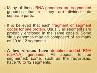Viruses structure and classification | PPTX