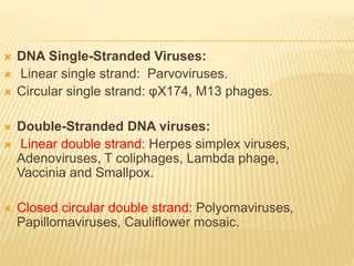 Viruses structure and classification | PPTX