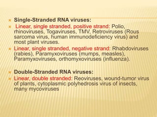 Viruses structure and classification | PPTX