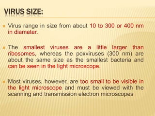 Viruses structure and classification | PPTX