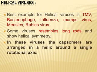 Viruses structure and classification | PPTX