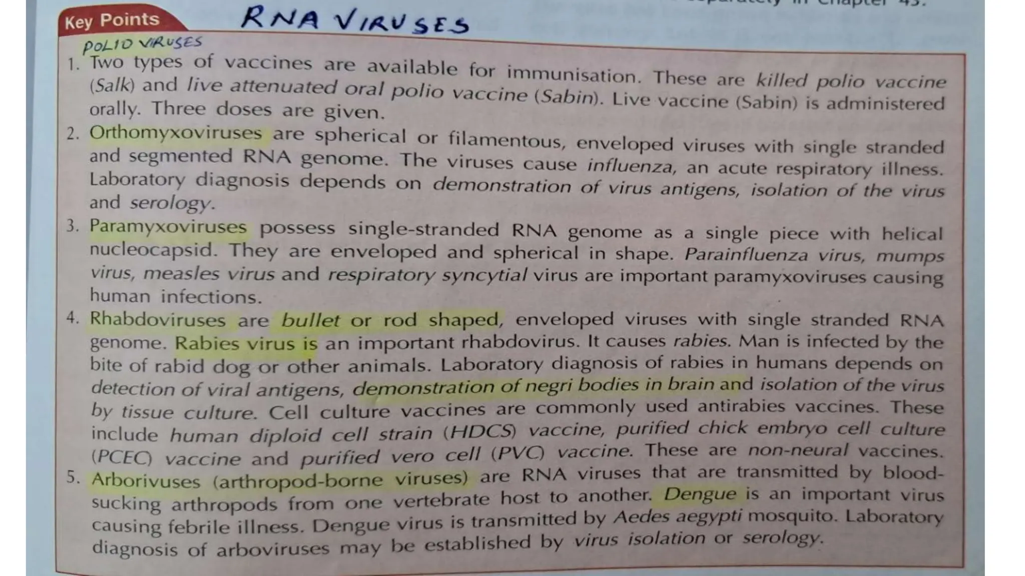 VIRUSES structure and classification ppt by Dr.Prince C P | PPT