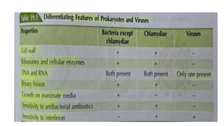 VIRUSES structure and classification ppt by Dr.Prince C P | PPT