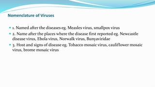 VIRUSES structure and classification ppt by Dr.Prince C P | PPT