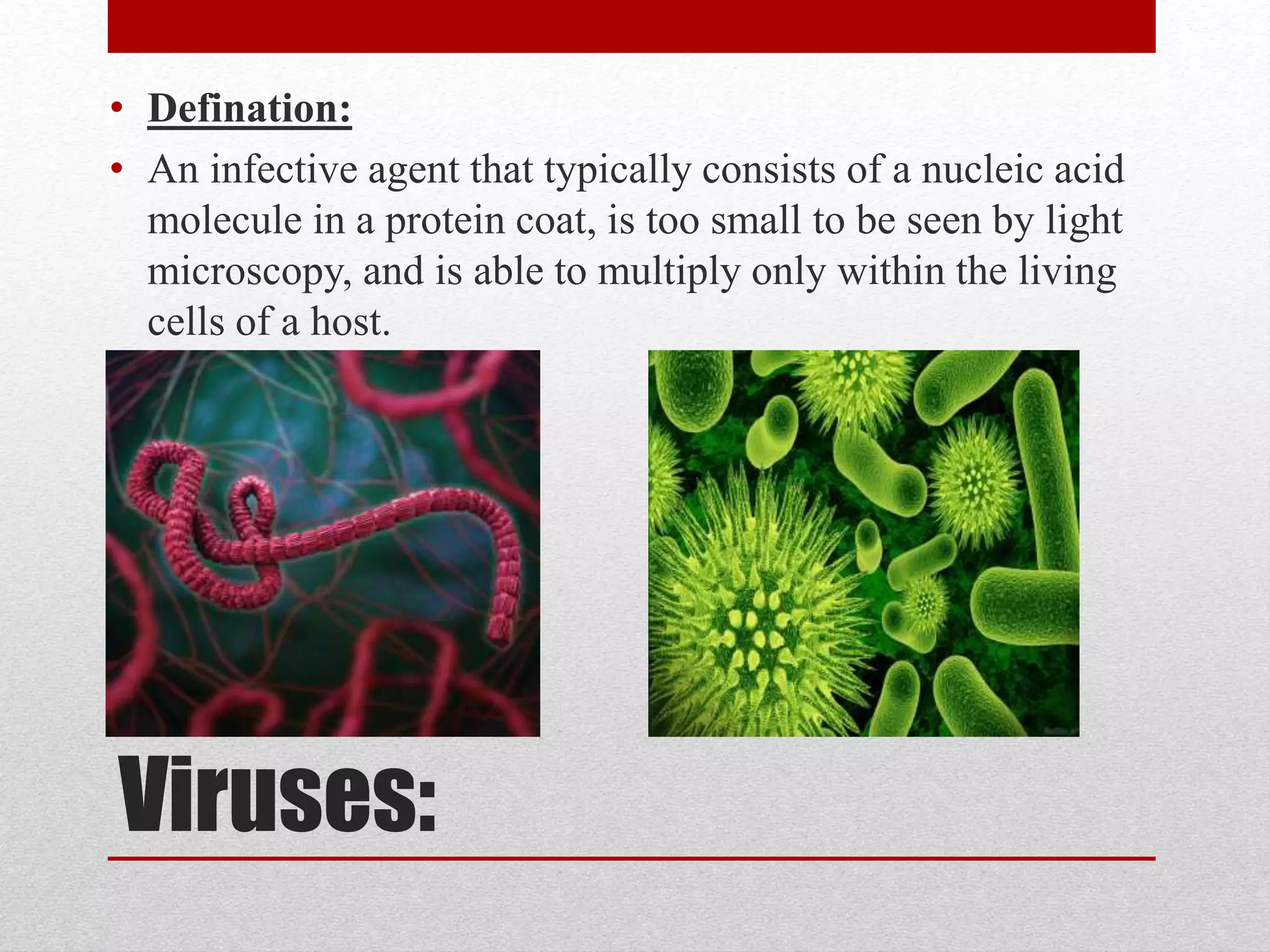 Viruses, structure, classification and characteristics | PPTX