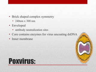 Viruses, structure, classification and characteristics | PPTX