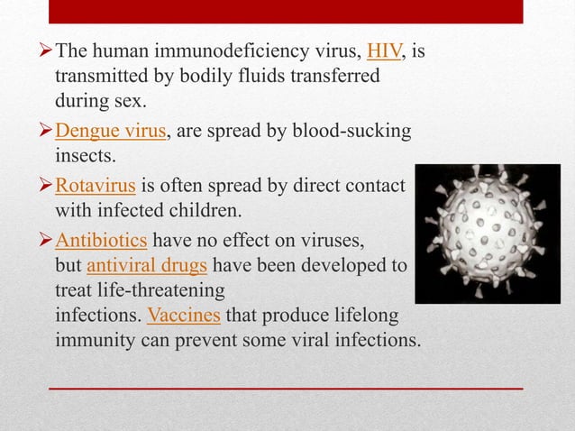 Viruses, structure, classification and characteristics | PPTX
