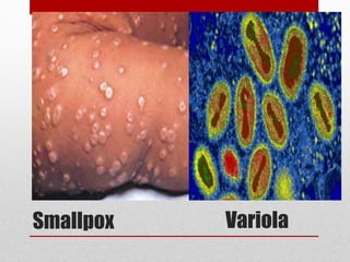 Viruses, structure, classification and characteristics | PPTX