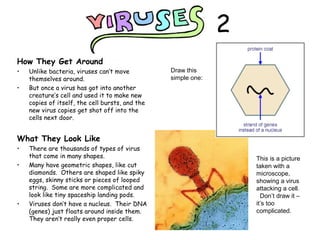 Viruses summary | PPT