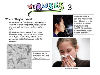 Viruses summary | PPT