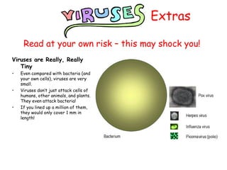 Viruses summary | PPT