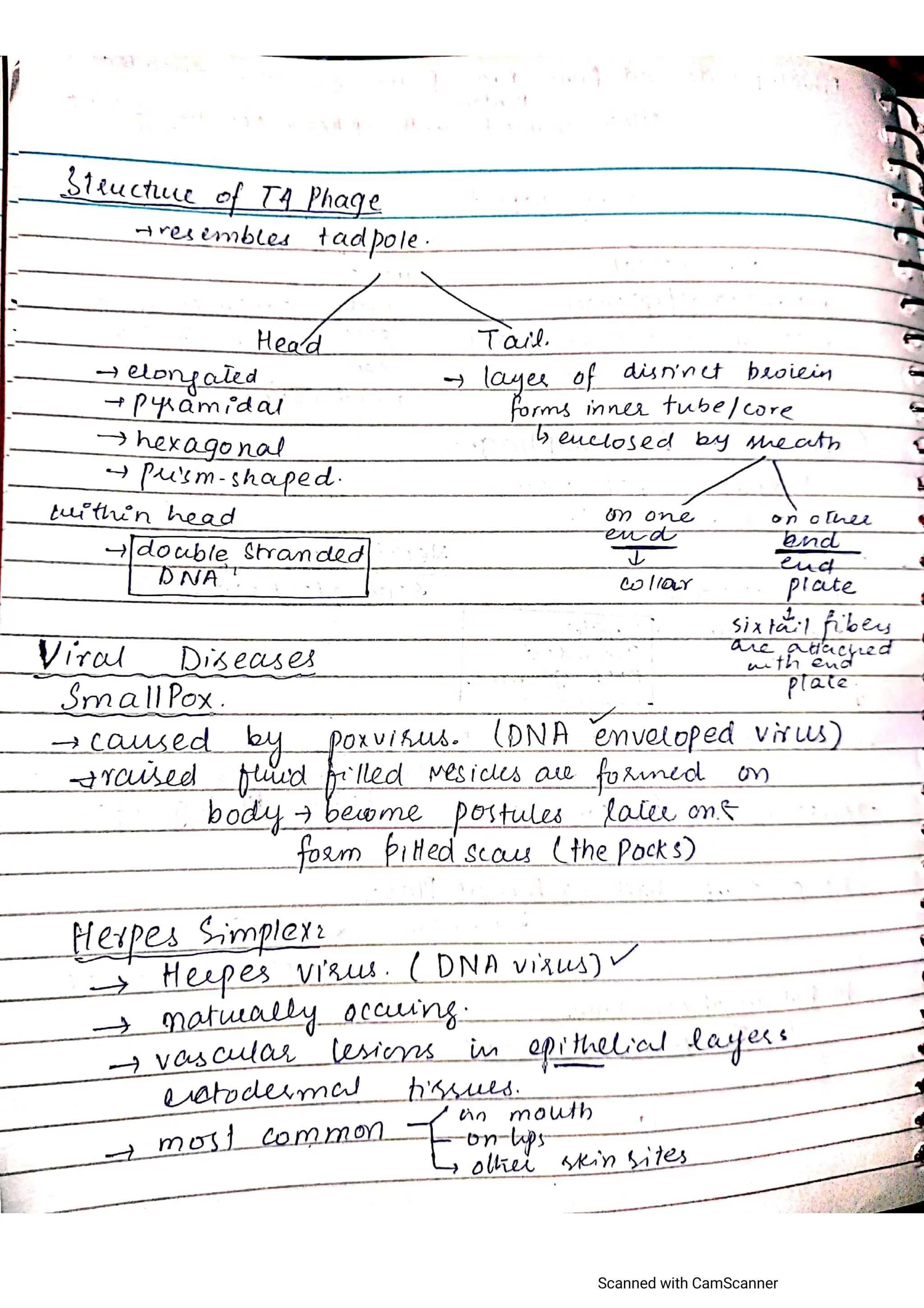 Viruses (Variety of Life) notes by oxford university | PDF