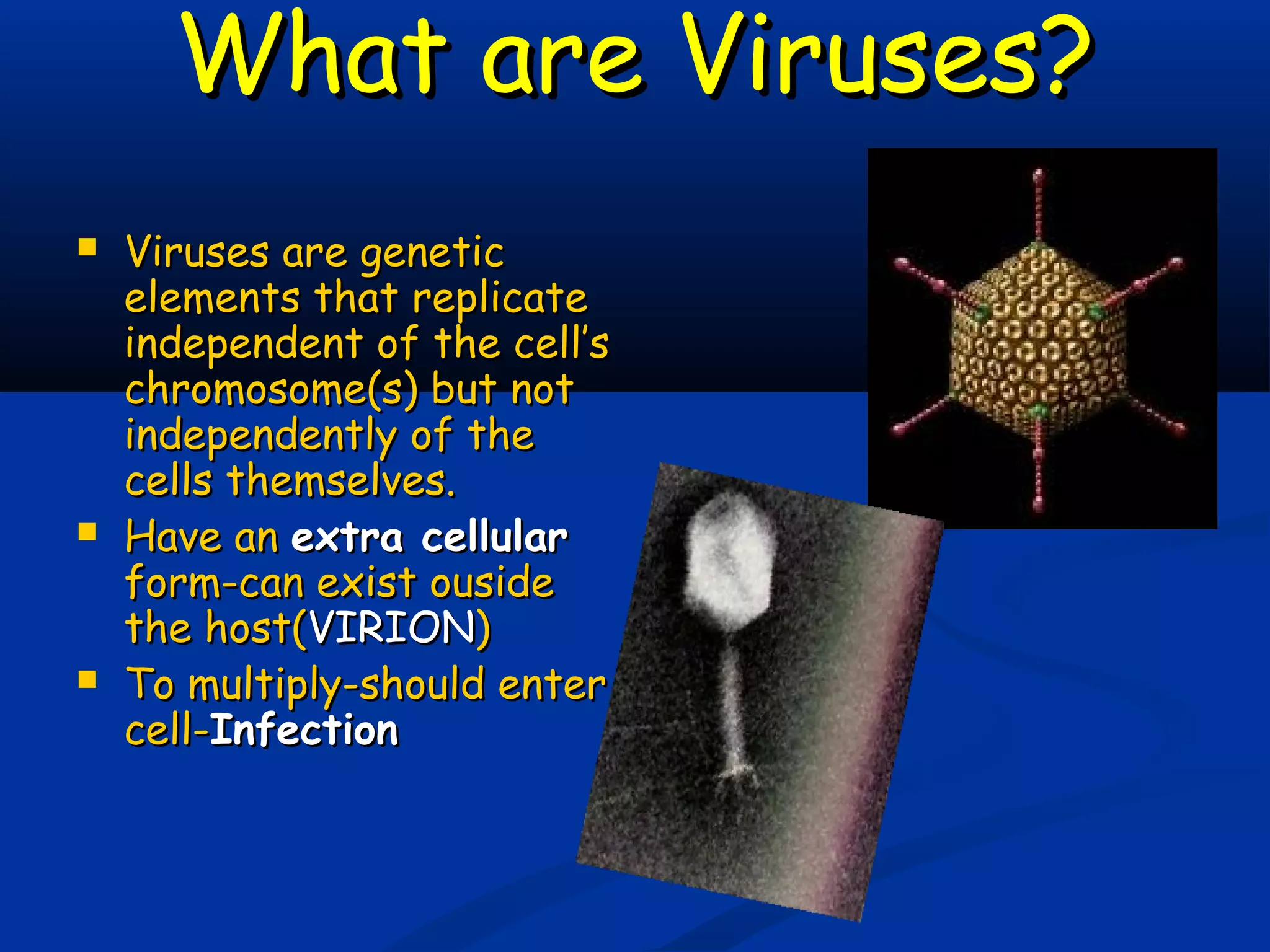 Viruses, viroids, and prions | PPT