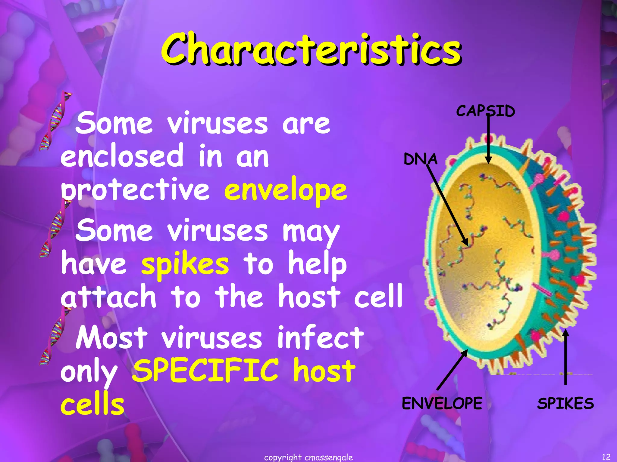Viruses, viroids, and prions | PPT
