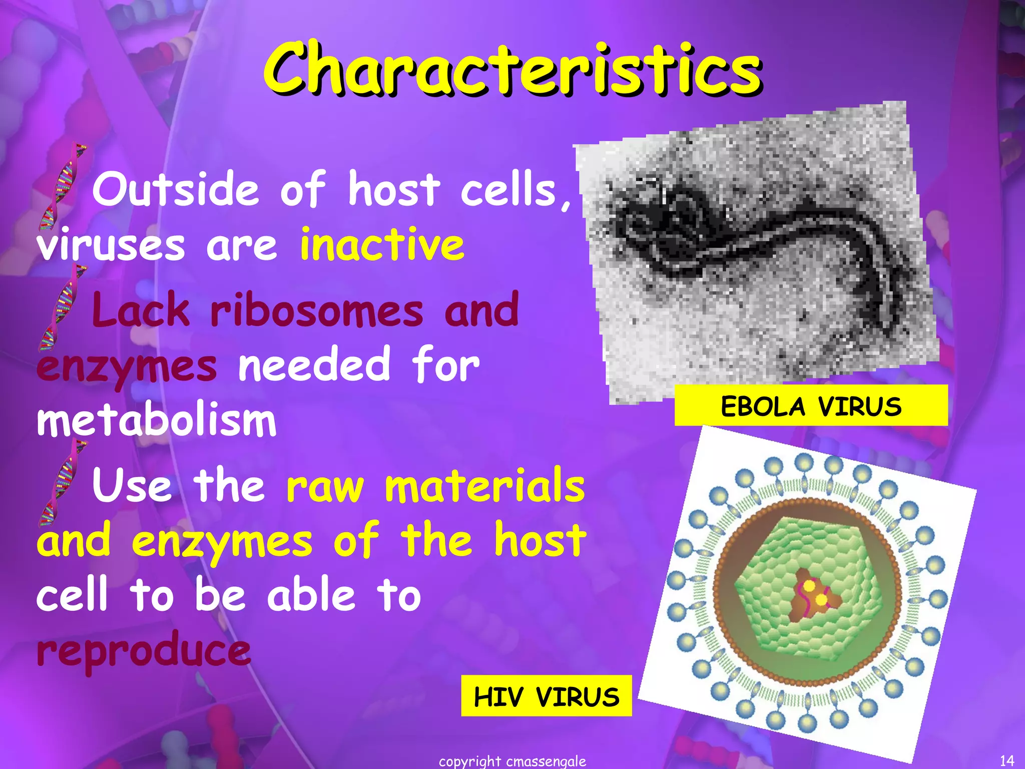 Viruses, viroids, and prions | PPT