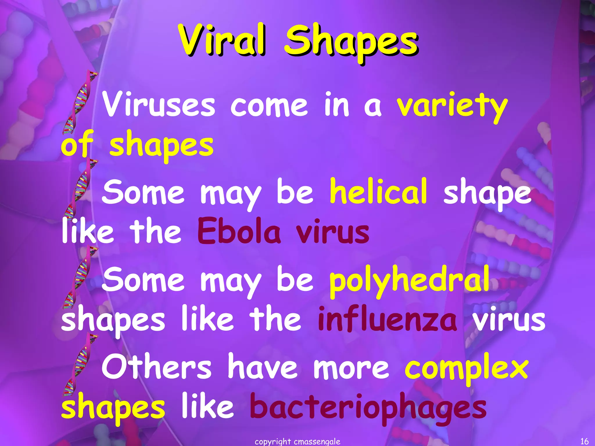 Viruses, viroids, and prions | PPT