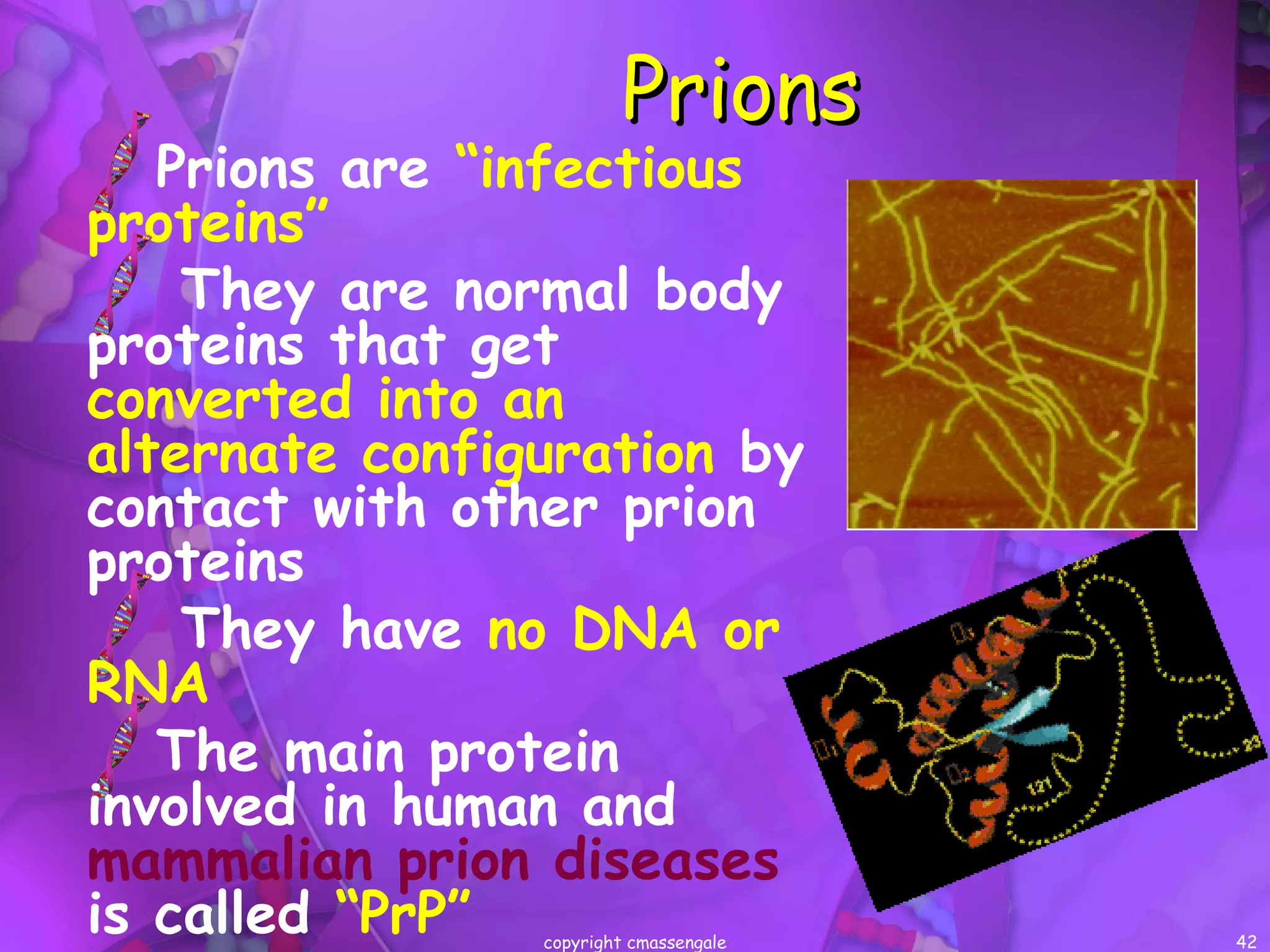 Viruses, viroids, and prions | PPT