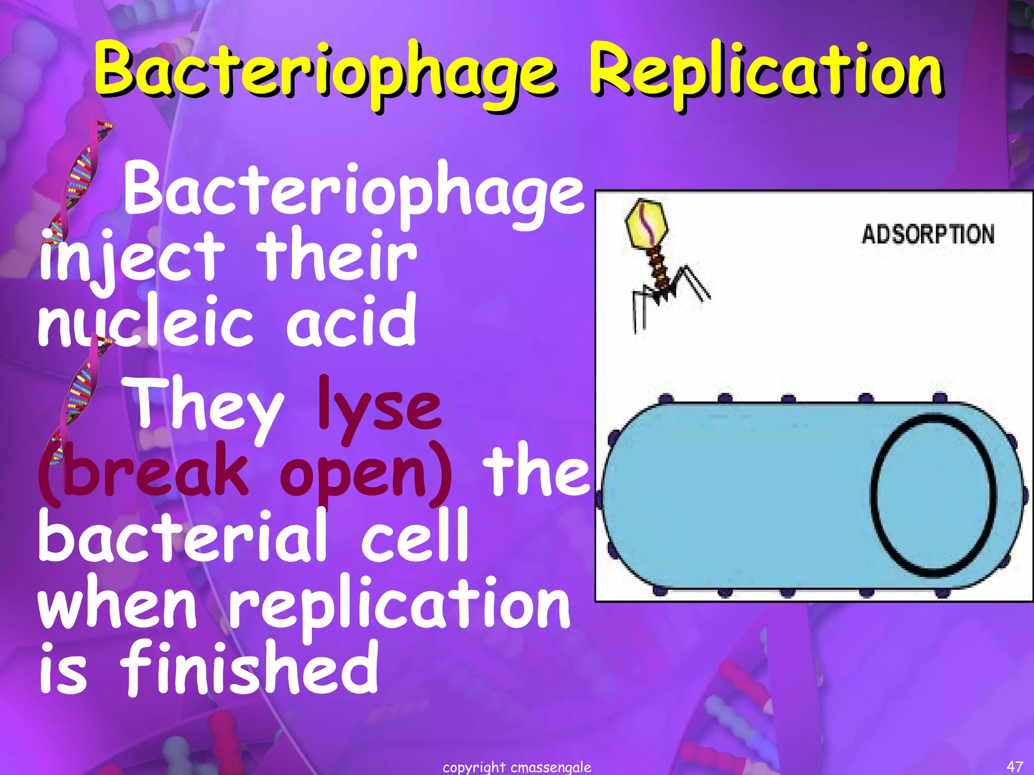 Viruses, viroids, and prions | PPT