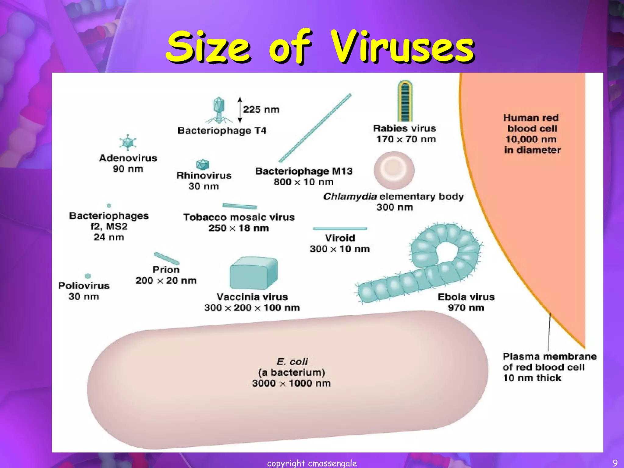 Viruses, viroids, and prions | PPT