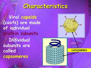 Viruses, viroids, and prions | PPT