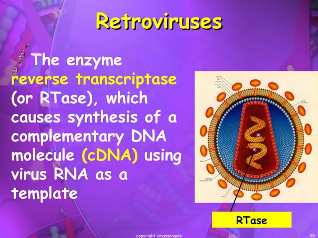 Viruses, viroids, and prions | PPT