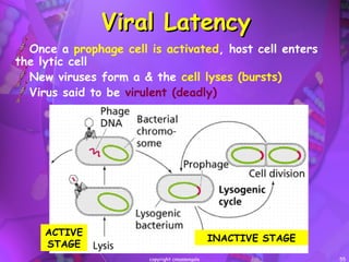 Viruses, viroids, and prions | PPT