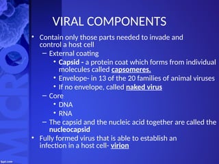 Viruses VIroids Prions.pptx basic micro biology | PPTX
