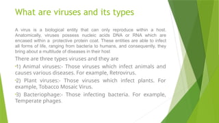 Viruses what are they.ppt . | PPTX