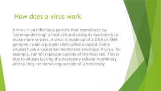 Viruses what are they.ppt . | PPTX