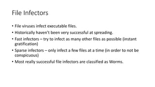 Viruses & worms | PPTX