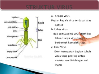 Virus eukariotik | PPTX