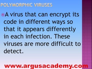 Virus examples | PPSX