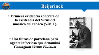 VIRUS FITOPATÓGENOS (GENERALIDADES EN PLANTAS) | PDF