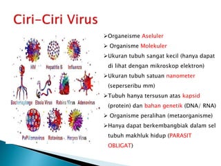 Virus | PPTX